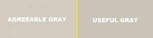 Agreeable Gray | Comprehensive in Depth Review