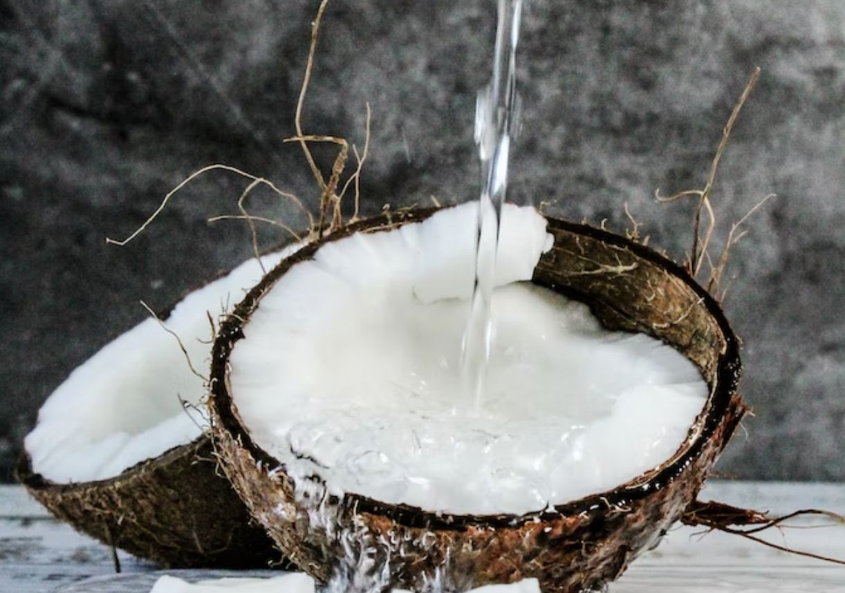 The Curious Way Coconuts Are Protecting US Coastlines