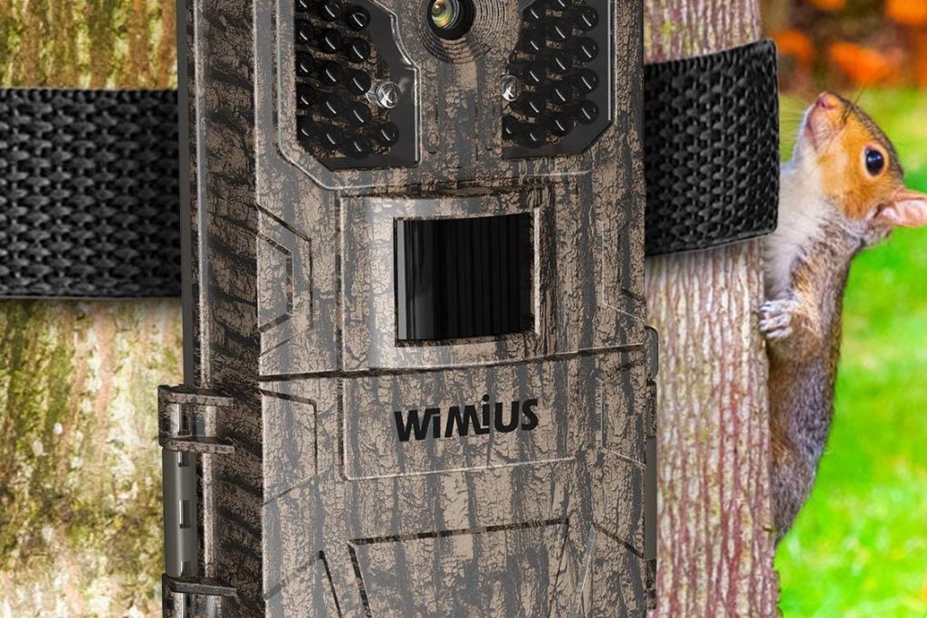 The Best Game Camera For Spotting Wildlife