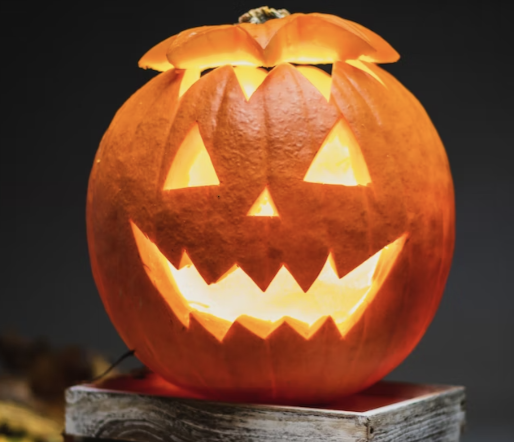 Happy National Pumpkin Day: Here’s How You Can Celebrate