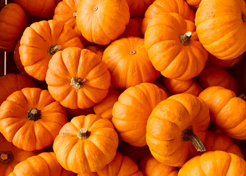See The Massive Pumpkin That Just Set A New Record