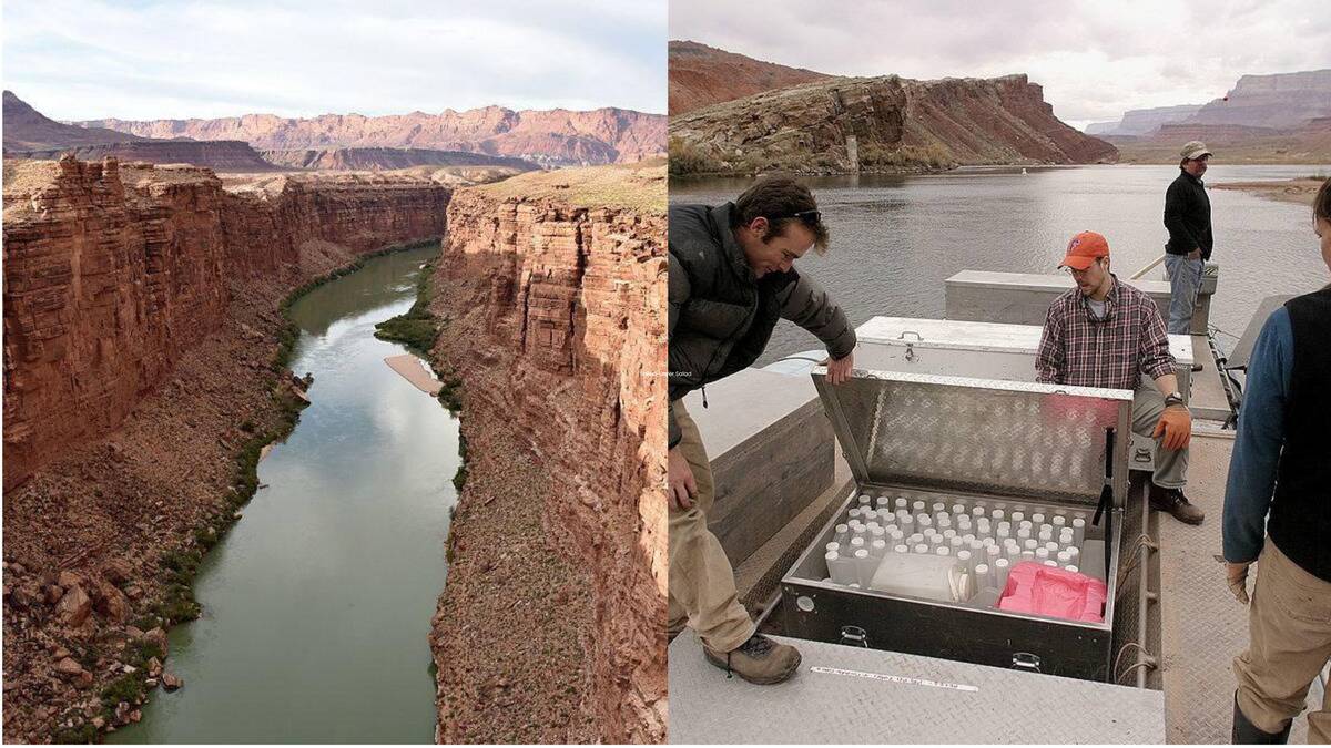 Experts Make Groundbreaking Discovery In The Grand Canyon After Cliff ...